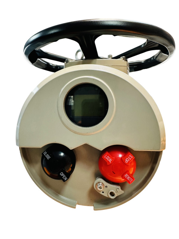 380V AC Explosion Proof Actuator Multi Turn Actuator With Torque Protection